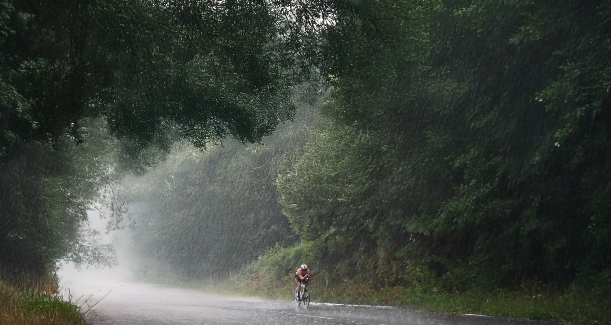 CTT Beta | CTT 2025 Annual Report & 2026 National Council/AGM Agenda